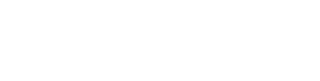 APWA Chicago Metro Chapter