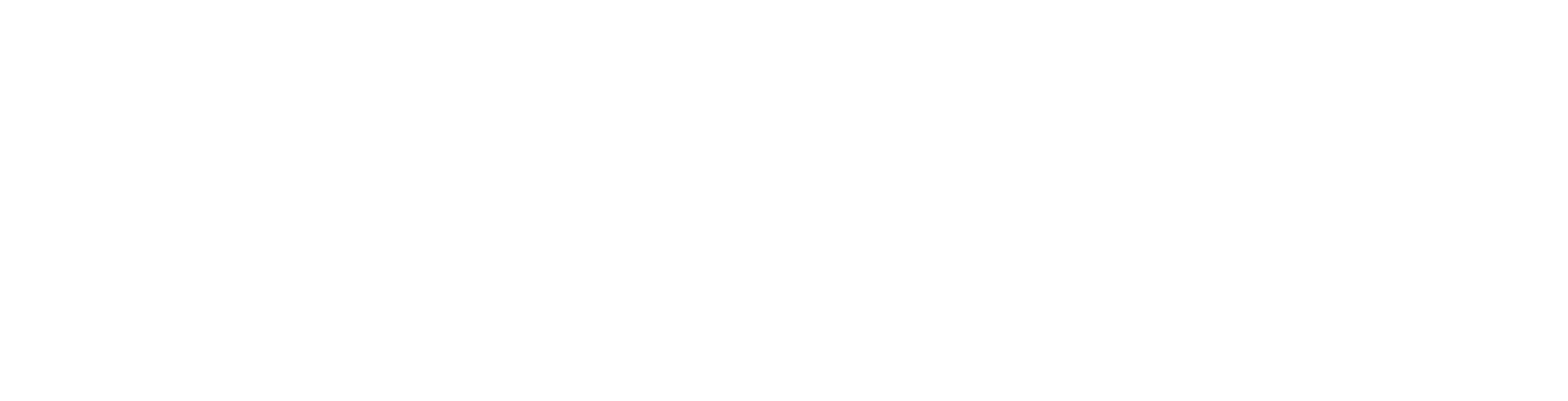 APWA Chicago Metro Chapter