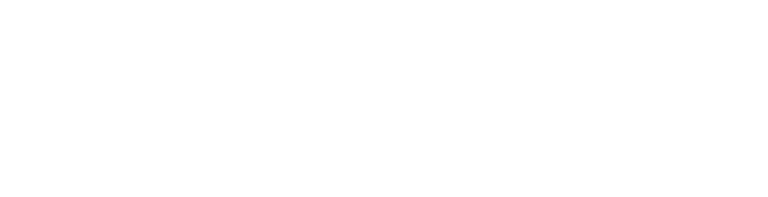 APWA Chicago Metro Chapter